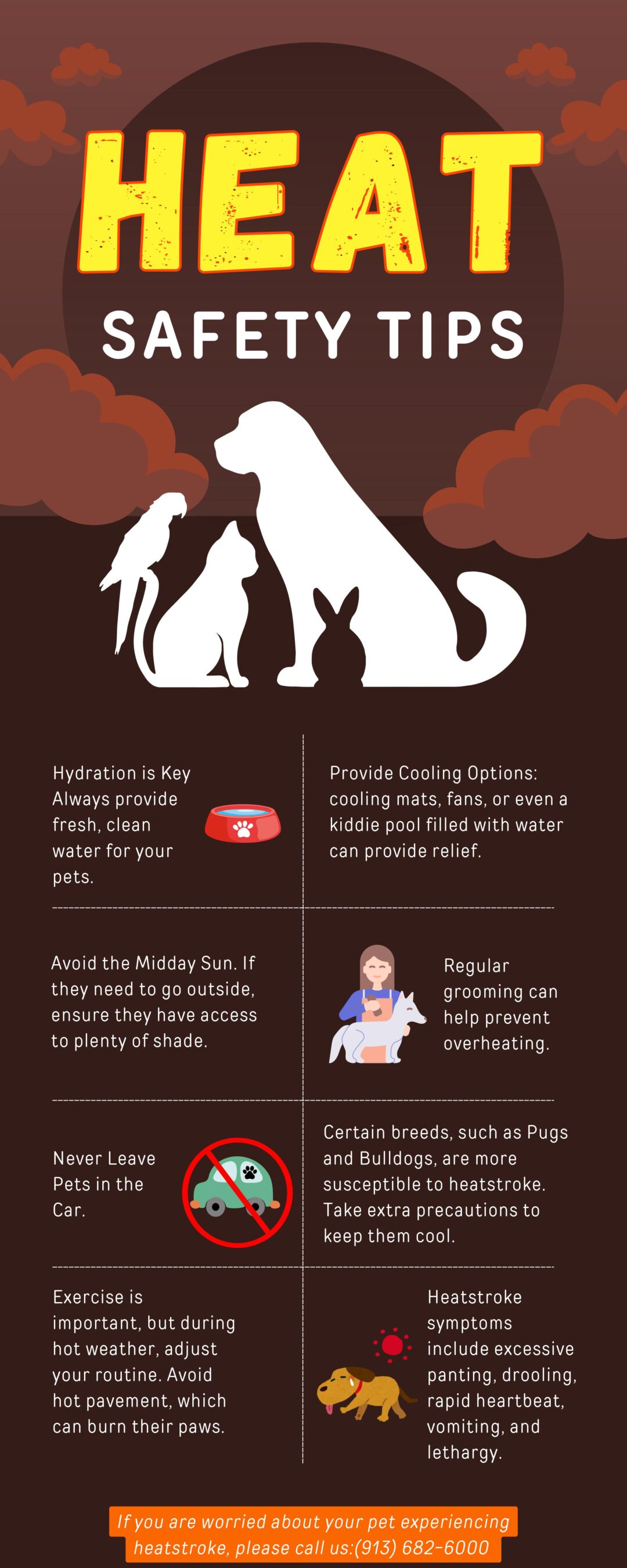 Heat Safety Tips For Your Pets | Pioneer Animal Hospital