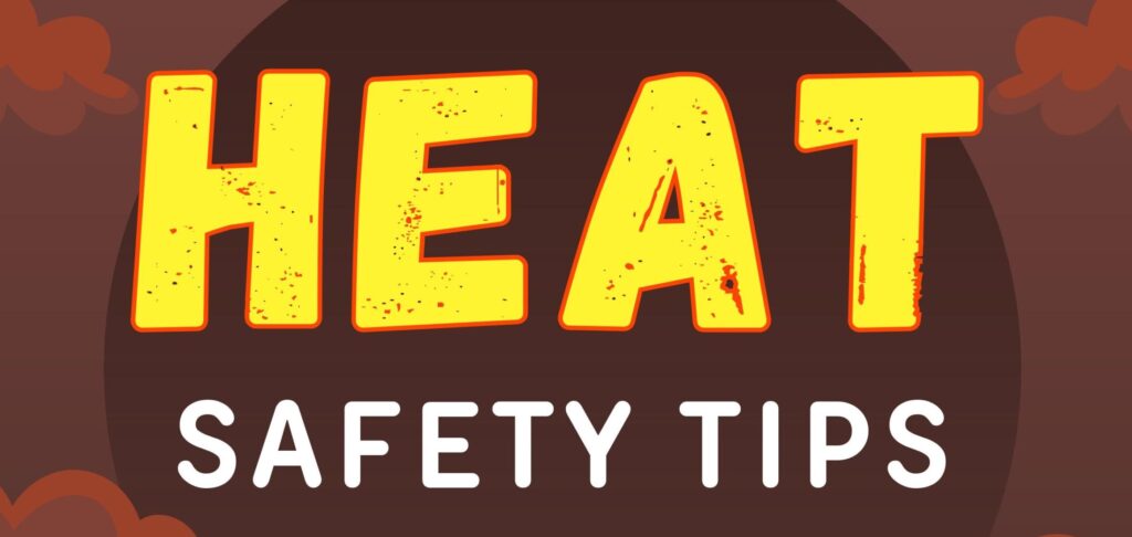 Heat Safety Tips For Your Pets | Pioneer Animal Hospital
